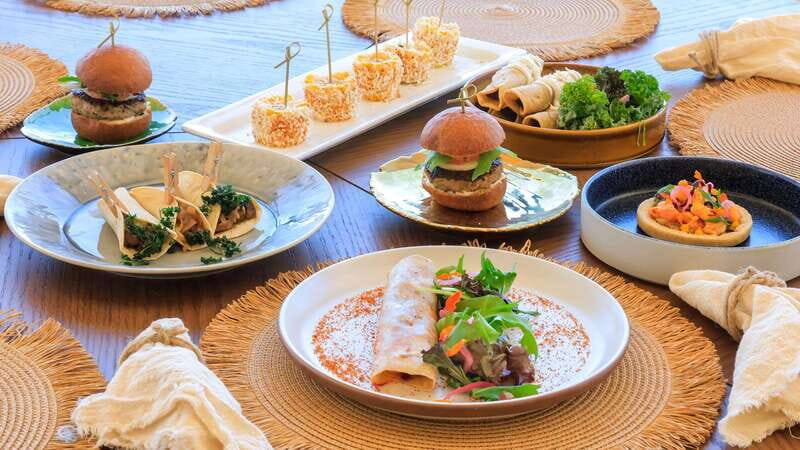 Cabo San Lucas: Sky Bikes Beach and Desert Tour in Cabo - Final Thoughts: Who Will Love It?