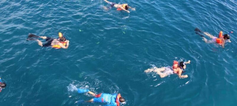 Cabo San Lucas: Snorkel Fun Cruise & Breakfast - Exploring the Itinerary: What You Can Expect