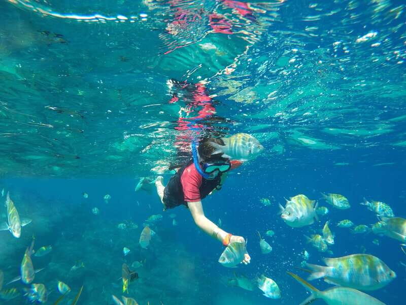 Cabo San Lucas: Snorkel, Paddle-board, and/or Kayak Tour - FAQs