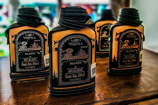 Cabo San Lucas Tequila Tasting Experience - An In-Depth Look at the Cabo San Lucas Tequila Tasting