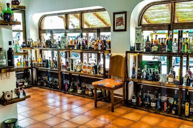 Cabo San Lucas Tequila Tasting Experience - The Sum Up