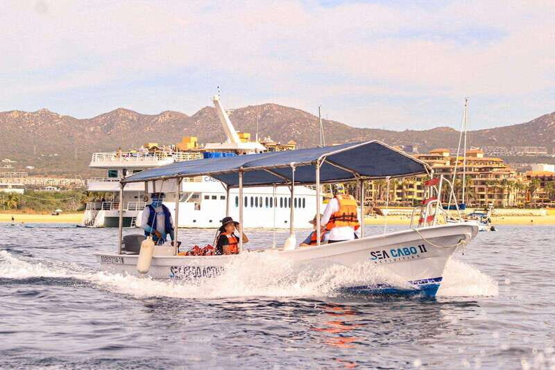 Cabo San Lucas: Tour al Arco en Barco Fondo de Cristal - Key Points