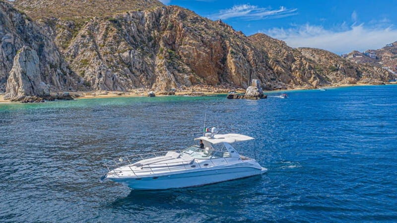 Cabo San Lucas Tour To Balandra Beach - Snorkeling and Marine Wildlife Encounters
