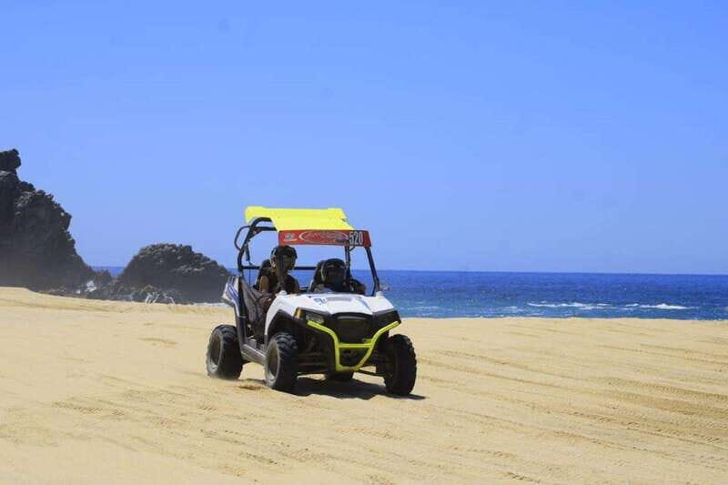 Cabo San Lucas: UTV Razor Fun with Desert, Beach, & Tequila - Key Points