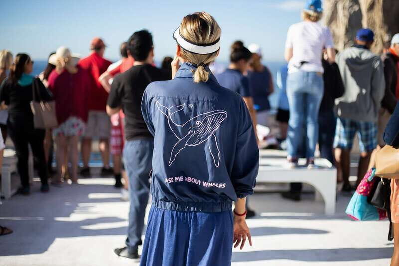 Cabo San Lucas: Whale Watching Breakfast Cruise - Introduction