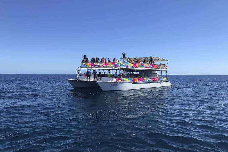Cabo San Lucas: Whale Watching Breakfast Cruise - Who Will Love This Tour?