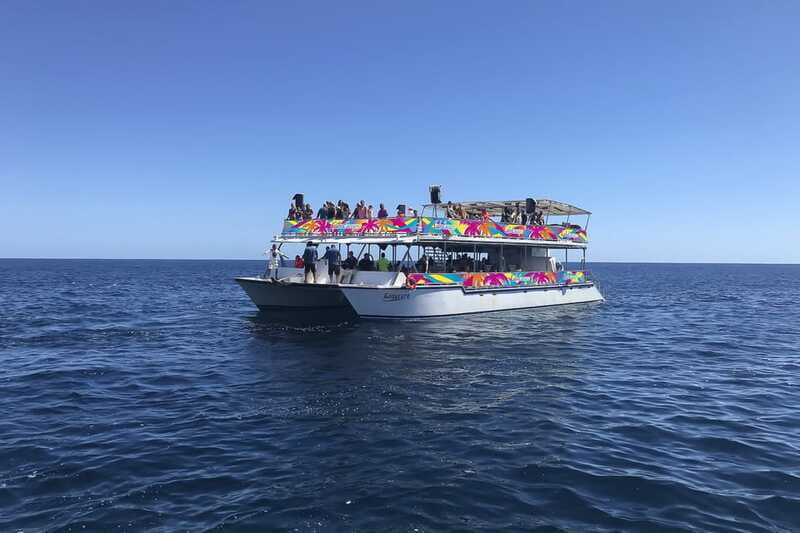 Cabo San Lucas: Whale Watching Breakfast Cruise - FAQ