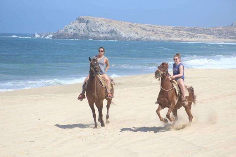 Cabo San Lucas: White Sand Horseback Adventure - The Itinerary: What You Can Expect