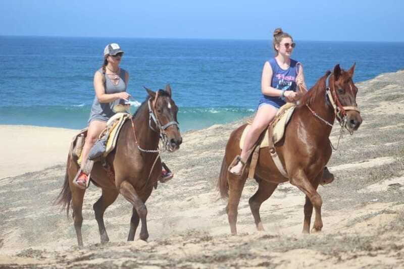 Cabo San Lucas: White Sand Horseback Adventure - Who Is This Tour Best For?