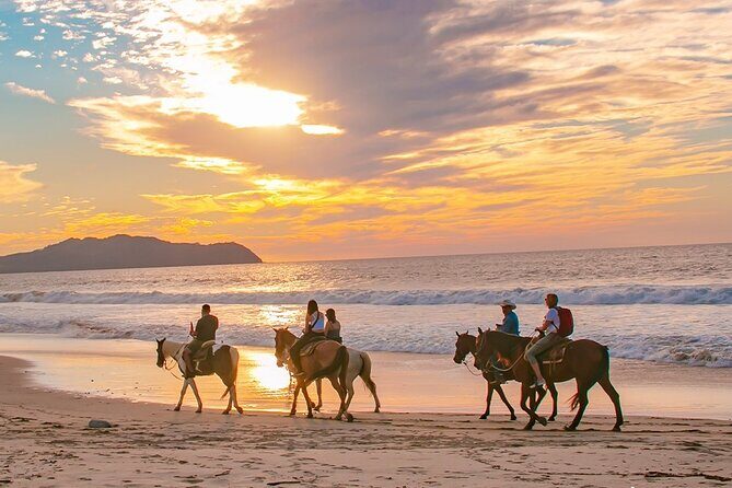 Cabo Shore Excursion: Beach Horseback Ride & Tequila Tasting - Exploring the Experience in Detail