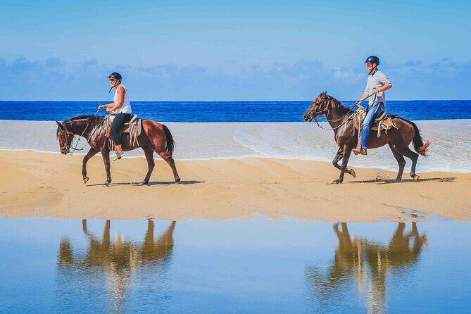 Cabo Shore Excursion: Beach Horseback Ride & Tequila Tasting - Final Thoughts: Is It Worth It?