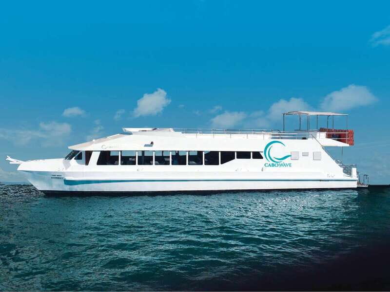 Cabo: Sunset Cruise with Dinner, Music & Open Bar - Key Points