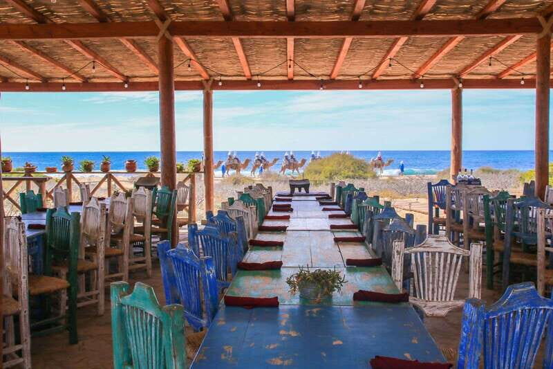 Cabo: Todo Santos Tour with Camel Ranch, Tequila and Lunch - Exploring Todos Santos: A Town of Charm and Art