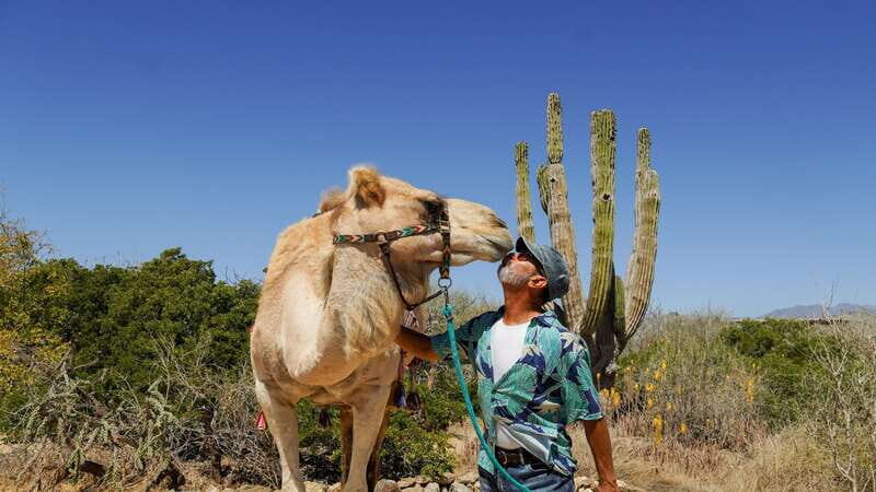 Cabo: Todo Santos Tour with Camel Ranch, Tequila and Lunch - Practical Details: What Travelers Should Know