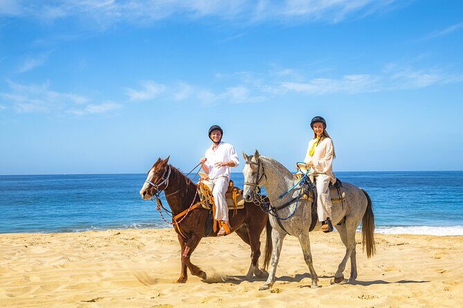 Cabo Tour Mexico Camel and Horseback Ride with ATV Adventure - Authentic Insights from Reviews