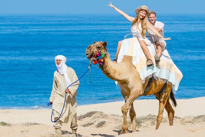 Cabo Tour Mexico Camel and Horseback Ride with ATV Adventure - FAQs
