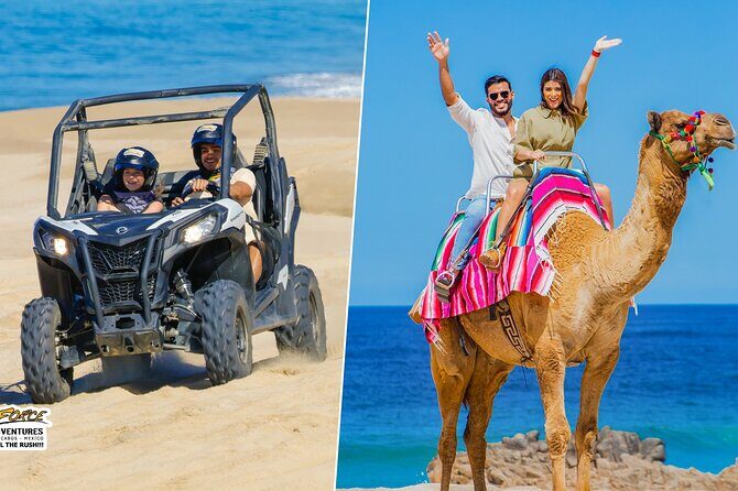 Cabo UTV and Camel Ride Combo - Key Points