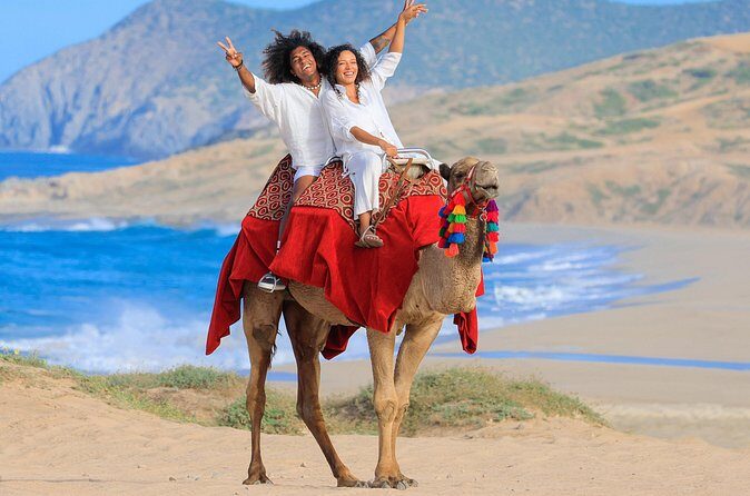 Cabo UTV and Camel Ride Combo - Authentic Insights from Reviewers