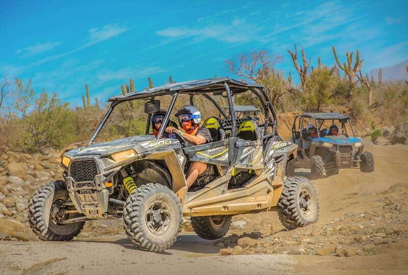 Cabo : UTV and Camel Ride in the Desert - Key Points