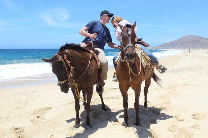 Cabo White Sand Horseback Riding Tour and Tequila Tasting - An In-Depth Look at the Cabo Horseback Tour
