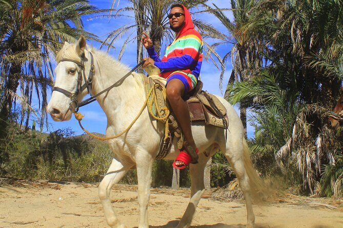Cabo White Sand Horseback Riding Tour and Tequila Tasting - In The Sum Up