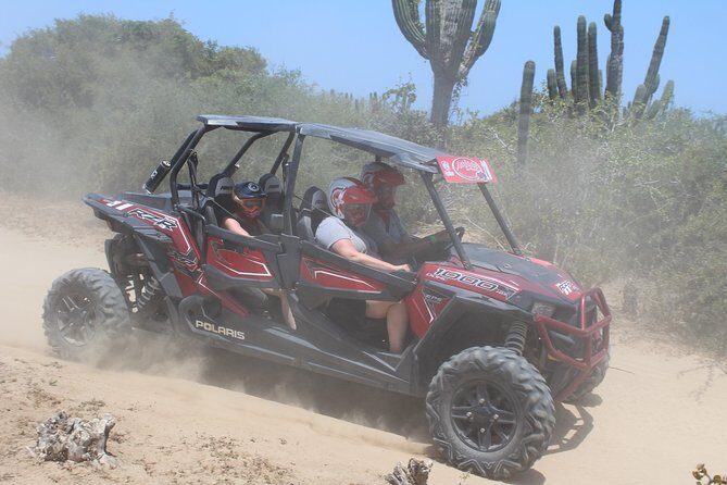 Cabo Wild Desert Tour, Polaris ATV or Razor Single, Double, Triple or Quad! - FAQ