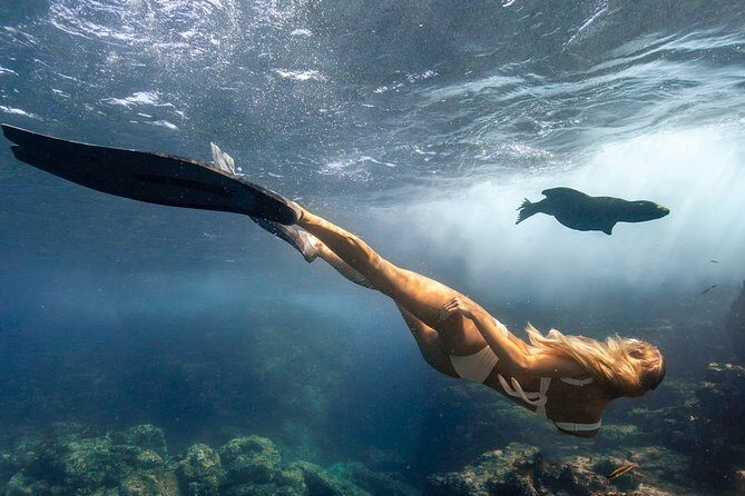 Cabo Wildlife SAFARI - Why This Tour Works for Different Travelers