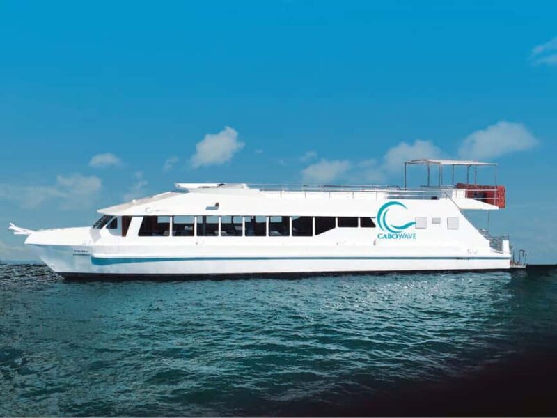 Cabos: Cabo Wave Cruise with Snorkeling, Lunch & Open Bar - Is This Tour Right for You?