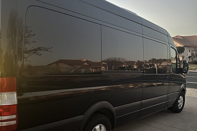 Cabo's Luxury Party Bus, Where We Take The Party To YOU! - Key Points