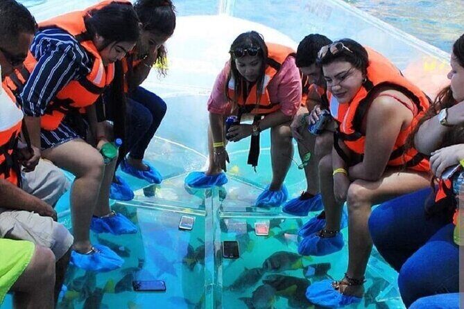 Cabo's Original Clear Boat Tour! See it all in one tour! - The Sum Up