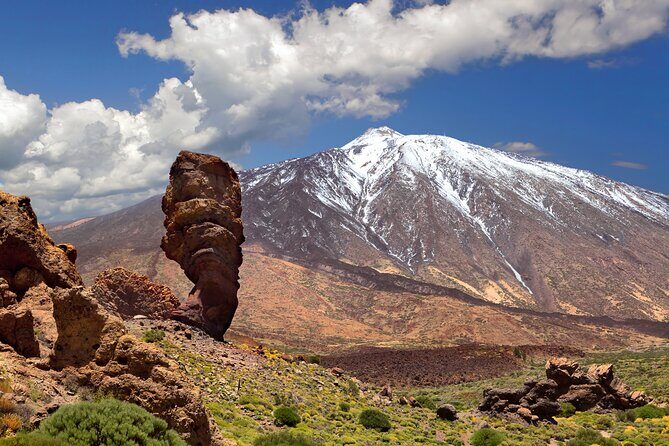 Cabrio Bus Full Day Guided Tour of Teide (SOUTH ONLY) - Who This Tour Is Perfect For