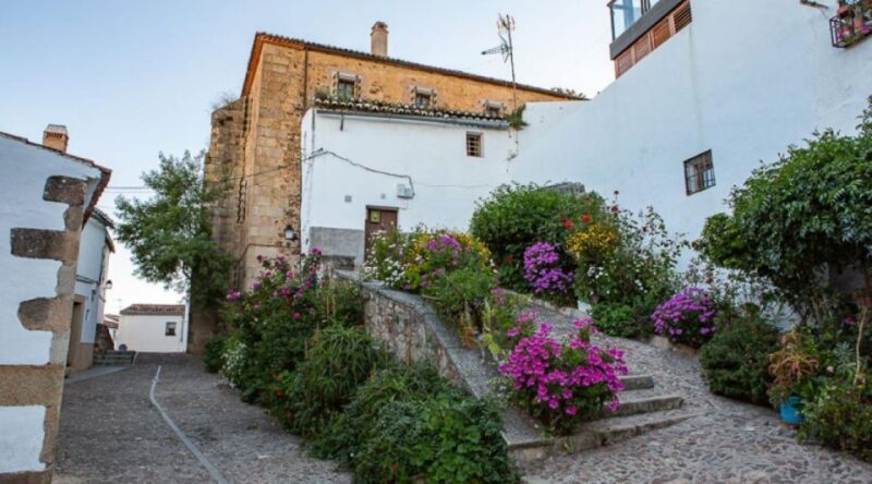 Caceres: Highlights, History and Jewish Quarter Walking Tour - Who Is This Tour Best For?