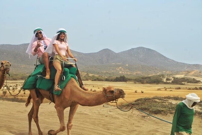 Cactus Combo Combine two of your favorite desert tours - The Sum Up