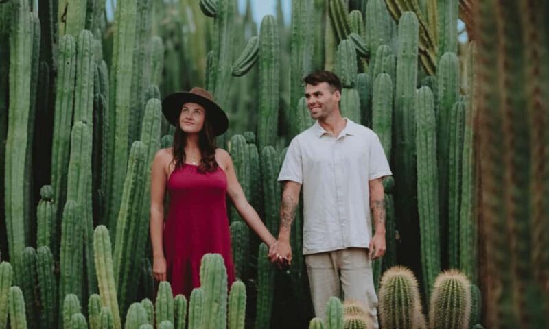 Cactus Country: Entry Ticket - Key Points