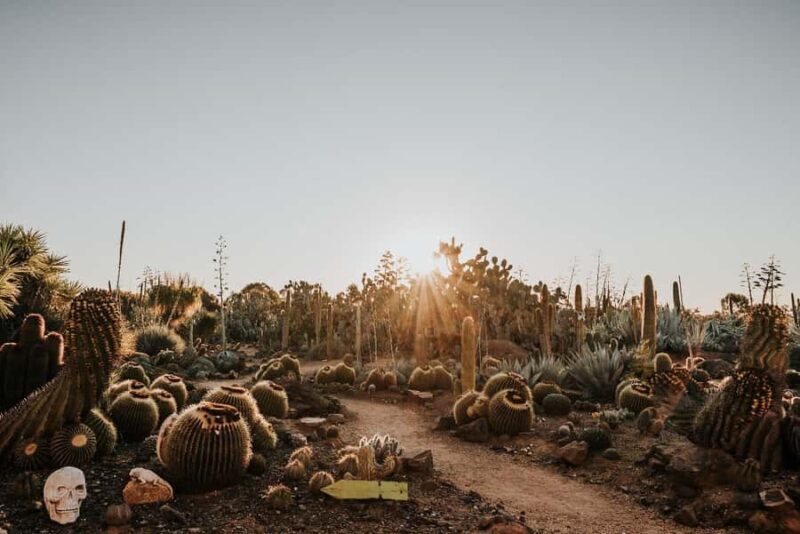 Cactus Country: Entry Ticket - An In-Depth Look at What to Expect at Cactus Country