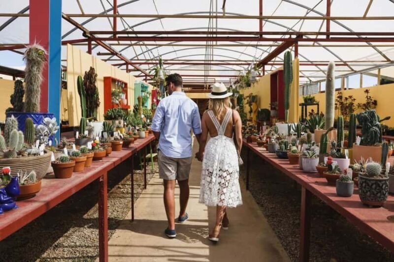 Cactus Country: Entry Ticket - FAQ – Your Questions Answered