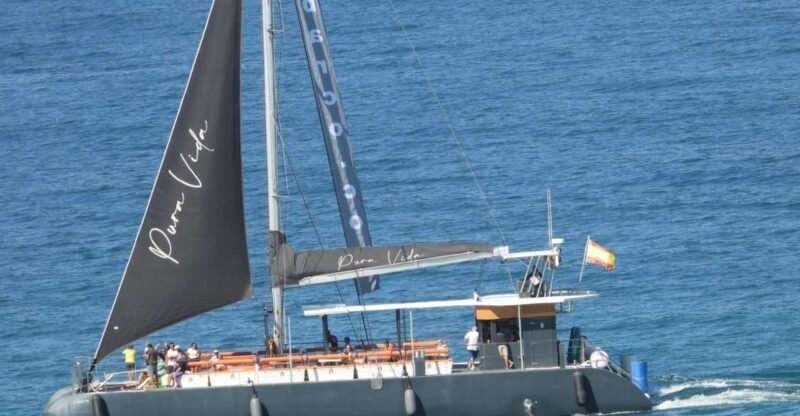 Cádiz: Bay of Cádiz Catamaran Tour with Host - Key Points