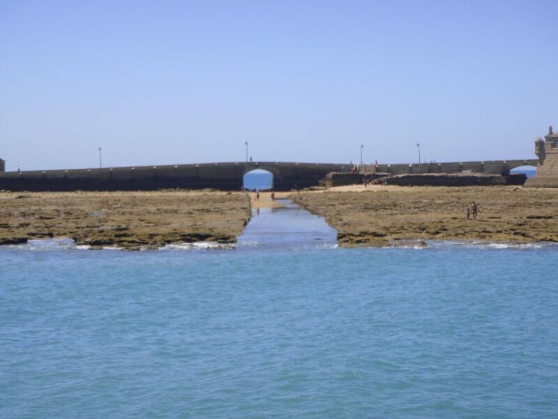 Cádiz: Bay of Cádiz Catamaran Tour with Host - Who Will Love This Tour?