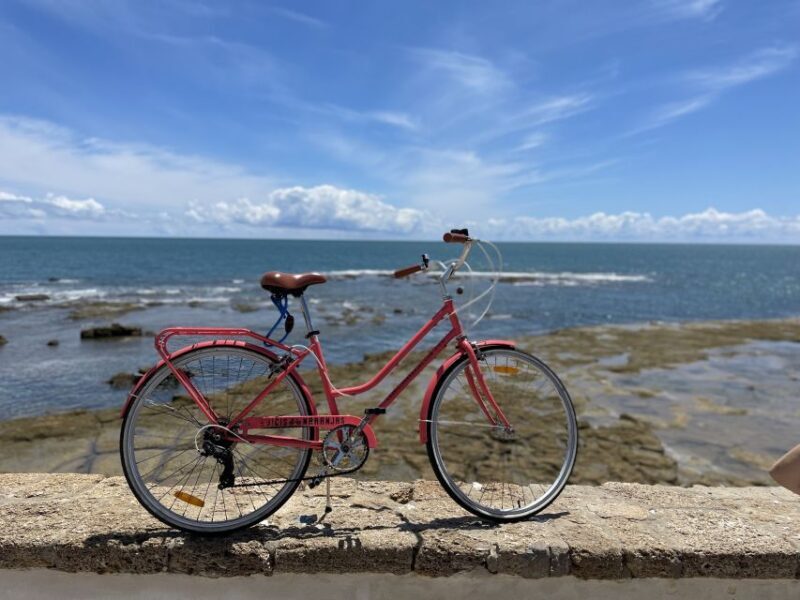 Cadiz: City Bike Tour - Key Points