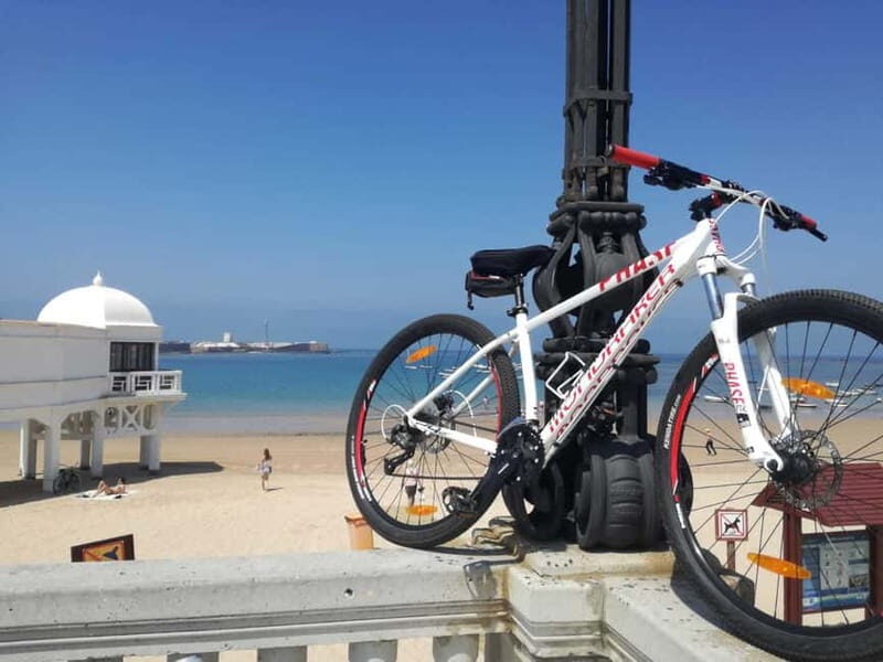 Cádiz: Guided Bike Tour - Key Points