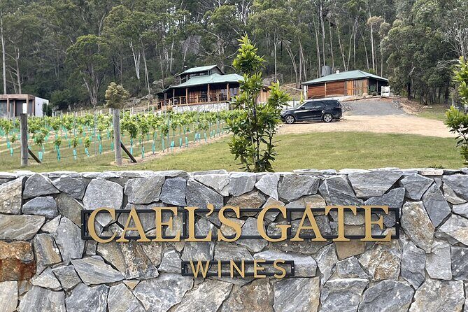 Cael's Gate Wine and Ploughmans Lunch in Hunter Valley - The Experience at Caels Gate: What to Expect