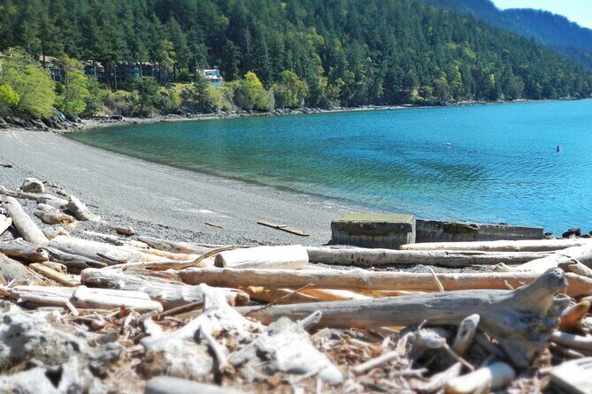 Cafes and Kayaks: Full Day Kayaking Adventure on Orcas Island - An In-Depth Look at the Orcas Island Kayaking Tour