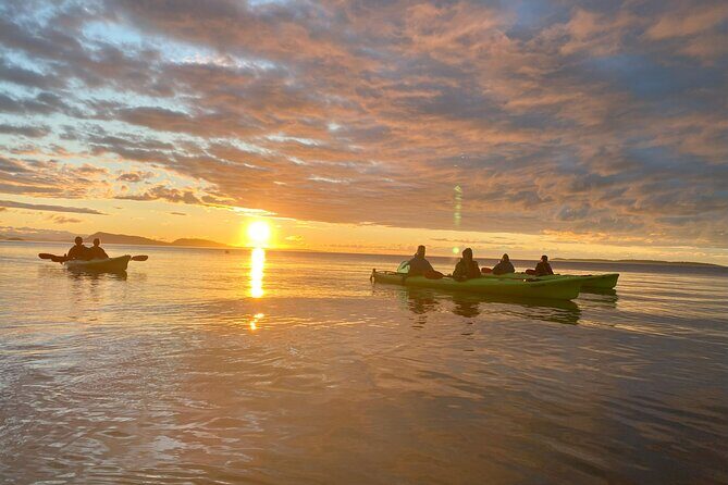 Cafes and Kayaks: Full Day Kayaking Adventure on Orcas Island - Who Will Love This Tour?