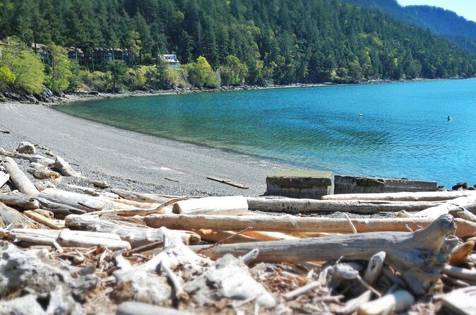 Cafes and Kayaks: Full Day Kayaking Adventure on Orcas Island - Final Thoughts