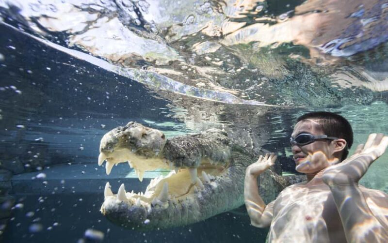 "Cage Of Death" Crocodile Swim and Entry to Crocosaurus Cove - Key Points
