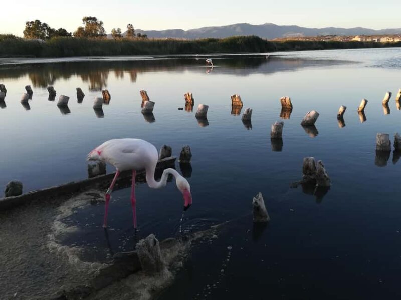 Cagliari: Bike & Hike Tour - Final Thoughts: Who Will Love This Tour?