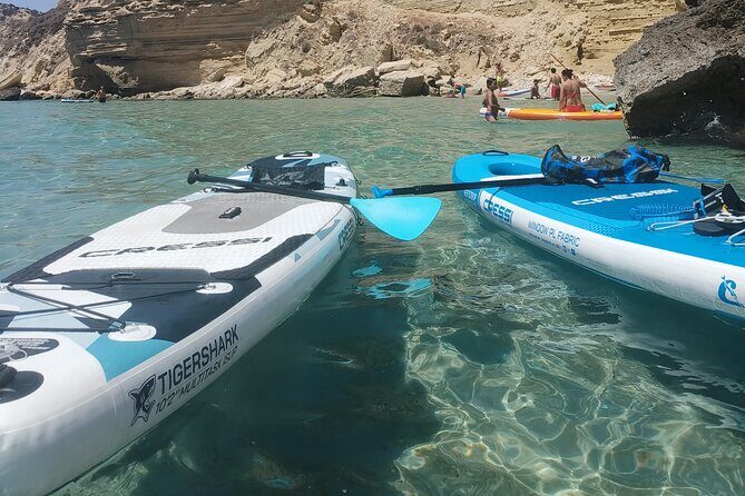 Cagliari by kayak boat or sup and With us free bike to Poetto - Who Should Consider This Tour?
