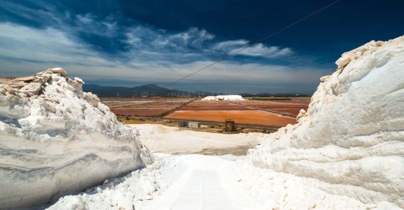 Cagliari: Conti Vecchi Salt Flats Train and Tour - A Deep Dive Into the Salt Flats Tour Experience