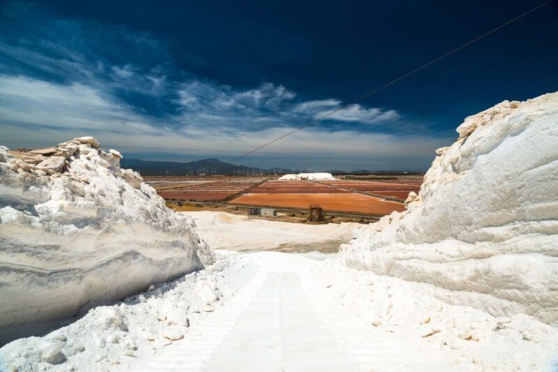 Cagliari: Conti Vecchi Salt Flats Train and Tour - The Sum Up