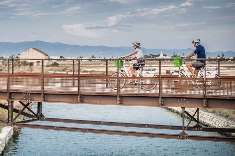 Cagliari E-Bike Tour: Canals & Flamingos at Molentargius - Key Points